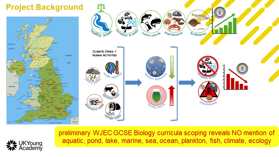 New project: Making Waves – A UKYA project promoting ocean literacy ...